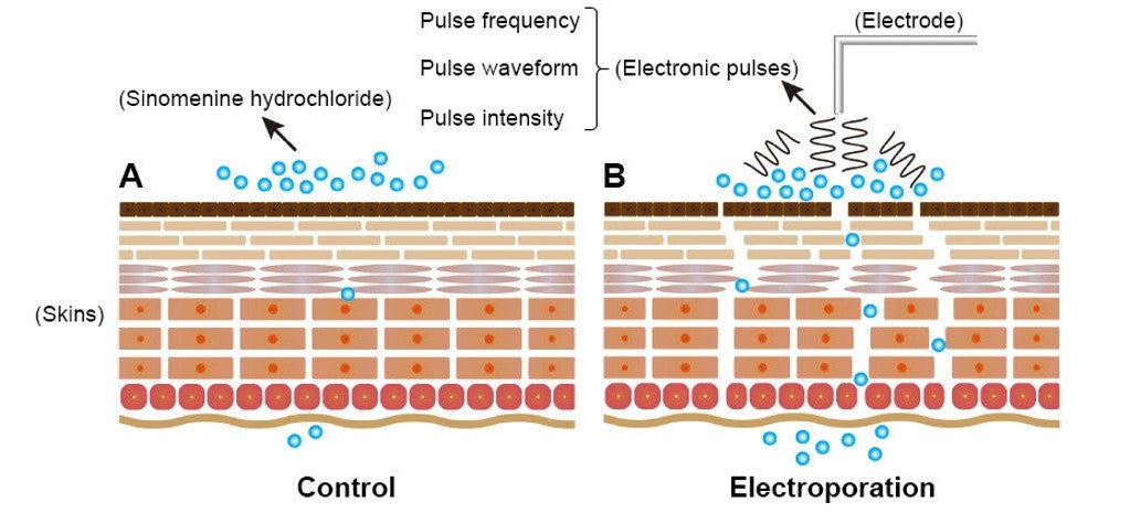 electroporation | Professional Beauty by Elena